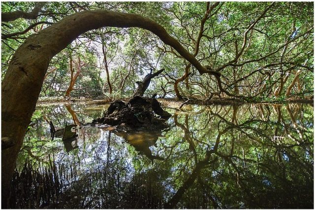 Top 20 Things to Do in Parañaque City | Housinginteractive Blog