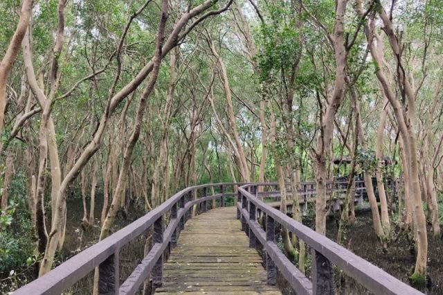 Top 7 Parks to Explore in Las Piñas City | Housinginteractive Blog