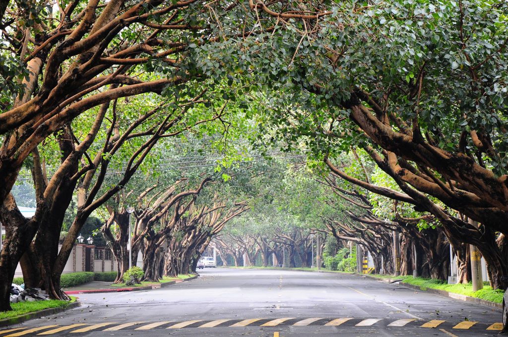 Neighborhood Guide: Dasmariñas Village, Makati | Housinginteractive Blog