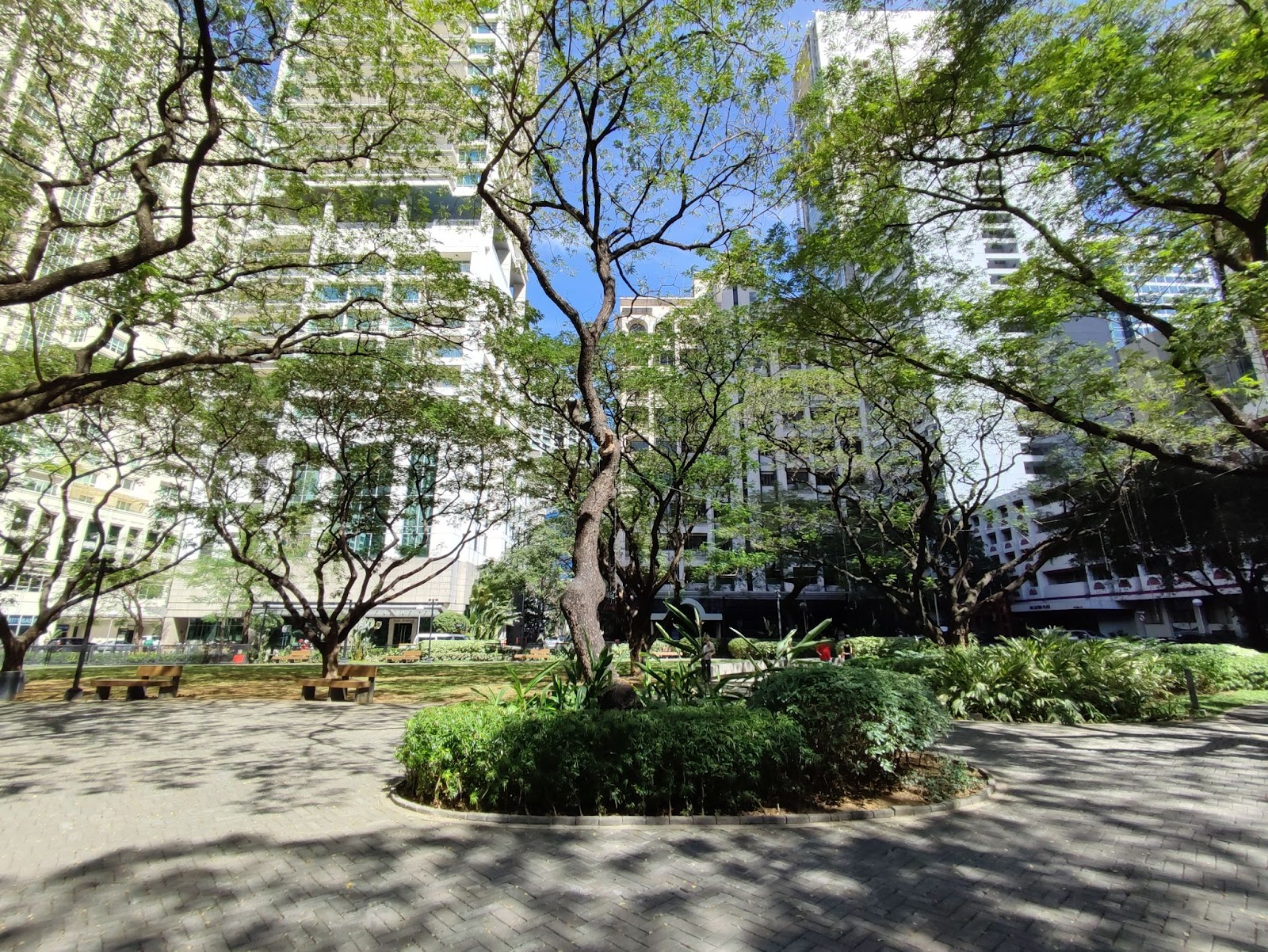 Neighborhood Guide: Salcedo Village, Makati City | Housinginteractive Blog